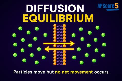 Passive Transport And Diffusion Ap Biology Guide Apscore5