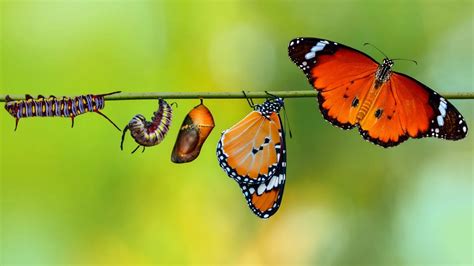 Living Means Evolving — Socialtime