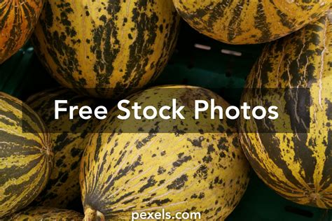 Melon Varieties Photos Download The Best Free Melon Varieties Stock