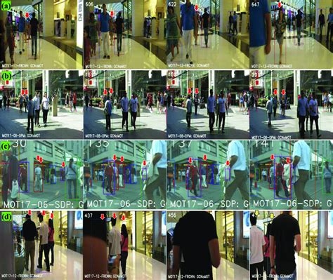 The Qualitative Tracking Results For Mot17 Dataset Using The Proposed