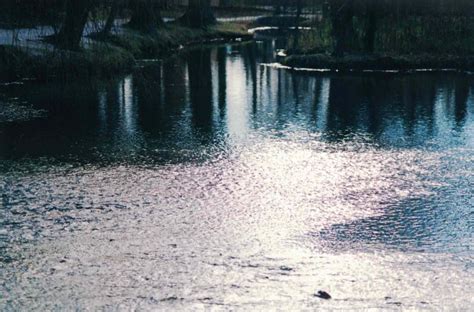 While Theres Light Sextus Propertius — While Theres Light