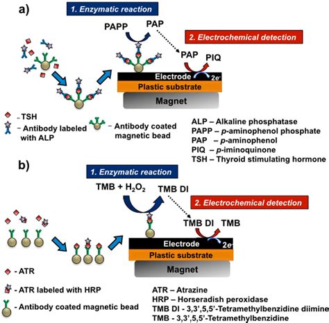 Tetramethylbenzidine Dihydrochloride Semantic Scholar