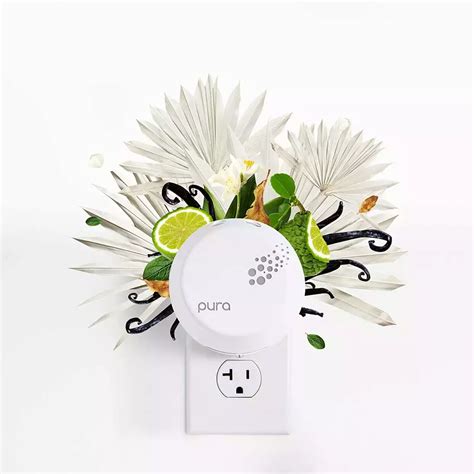 Best Pura Scents We Test 20 Scents In The Ulitmate Guide