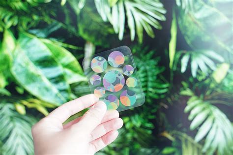 Basic Bug Bundle Quitch Bug Bite Relief