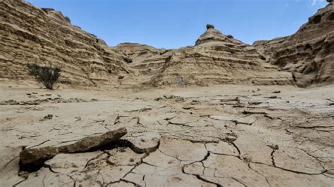 Erosion Sediment Controls An Ultimate Guide