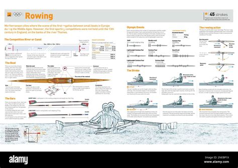 infographics about olympic rowing its rules different modalities