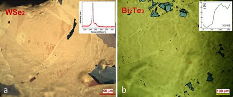 Exfoliation Of Various Layered Chalcogenide Single Layers Optical