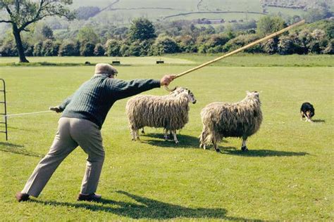 Microbial Mass Extinctions Were Kicked Off By Human Evolution New Scientist