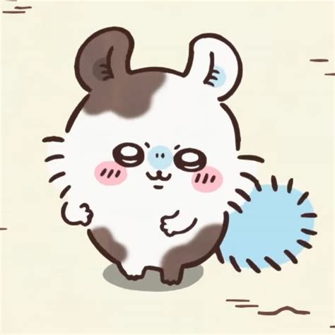 Momonga