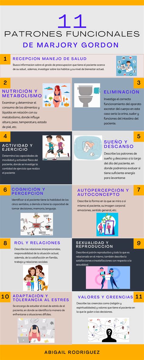 11 Patrones Funcionales De Marjoy Esquemas Y Mapas Conceptuales De