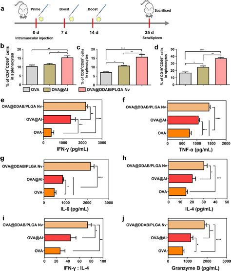 Ovaddabplga Nv Induced Splenocyte Activation And Cytokines Secretion