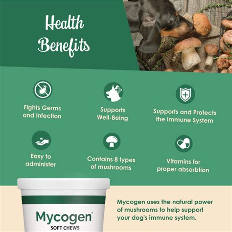 Buy Mycogen Immune System Supplement For Dogs Entirelypets