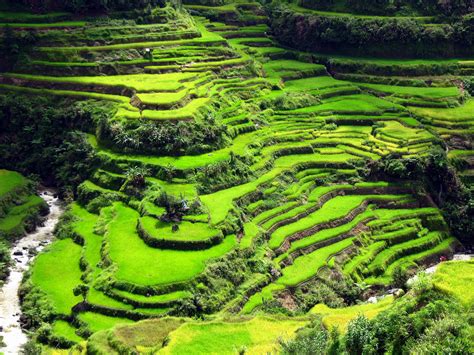 Banaue Rice Terraces Wallpapers Top Free Banaue Rice Terraces