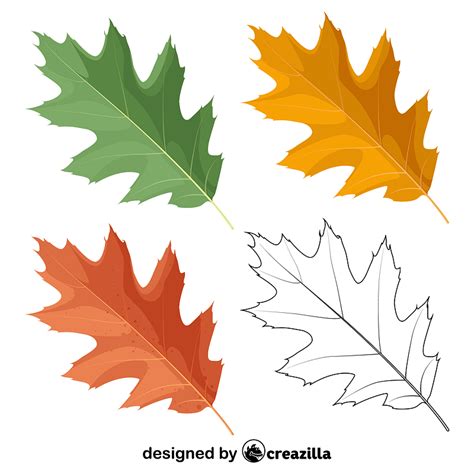 Northern Red Oak Leaves Vector Free Download Creazilla