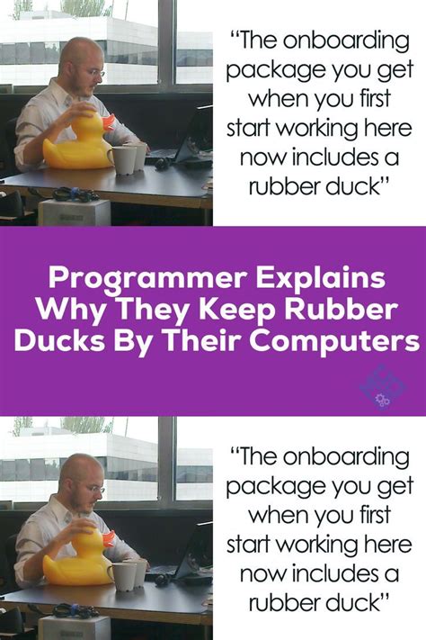 Programmer Explains Why They Keep Rubber Ducks By Their Computers Artofit