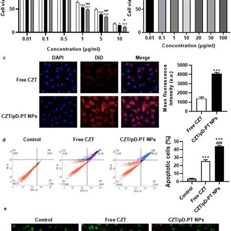 In Vivo Safety Assessment Of Cztpdpt Nps A Serum Alp Alt Ast And