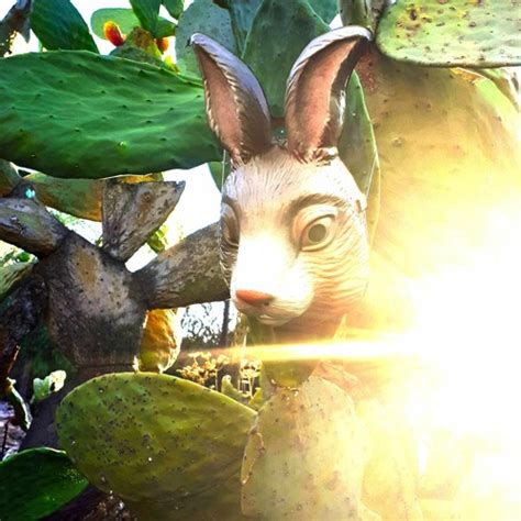 Stream Track 4 The Monster Of Bindoon By Brian Gummer Listen Online For Free On Soundcloud