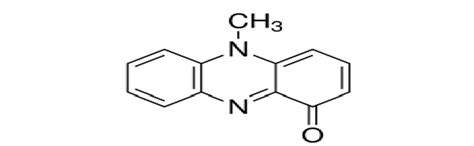 Structure Of Pyocyanin Download Scientific Diagram