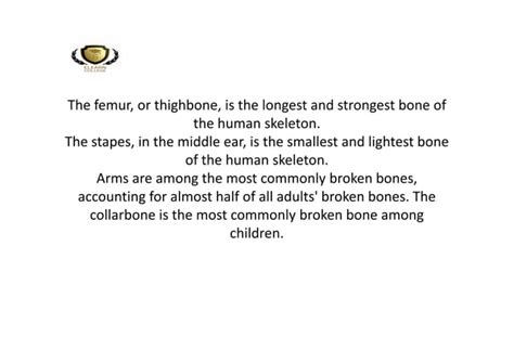 Human Bone Anatomy Ppt