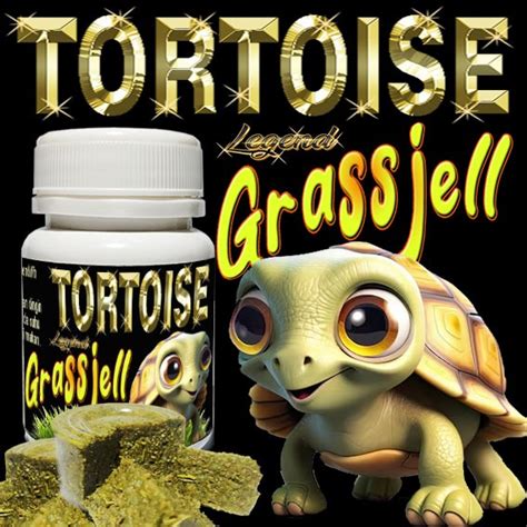 Jual Tortoise Grass Jell Pudding Jelly Rumput Timothy Timoti Makanan Kura Kura Darat Pakan Basah