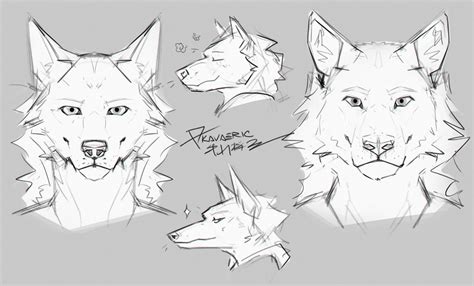 How To Draw Furry Heads A Step By Step Guide Fursonafy