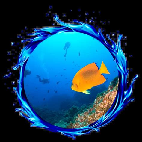 Deep Diving Scuba Diving In Puerto Vallarta