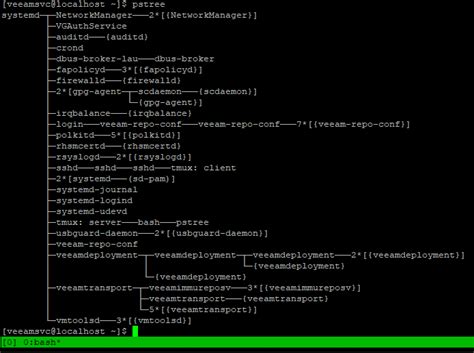 Veeam Backup And Replication Managed Hardened Repository Samuraj