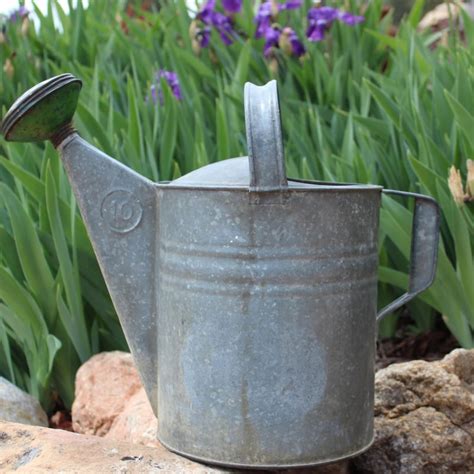 Galvanized Watering Can Etsy