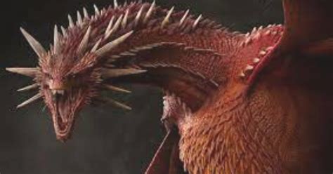 Flora Discover Which Plant Matches Your Favorite Dragon From House Of