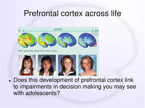 Computational Cognitive Neuroscience Jessica Mollick Randy Oreilly Ppt Download