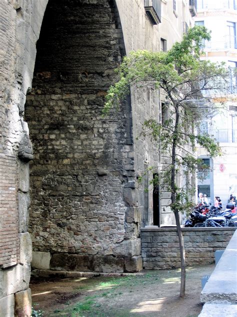 Images — Daniel R Walker