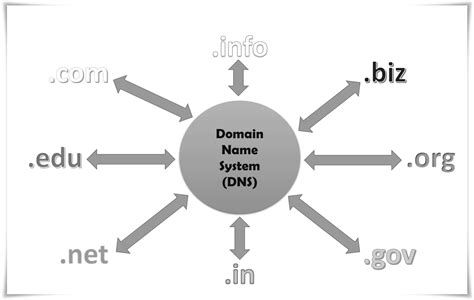 Domain Name Protection In Israel Dwo