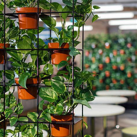 Artificial Grass And Vertical Garden Sheetal Sales