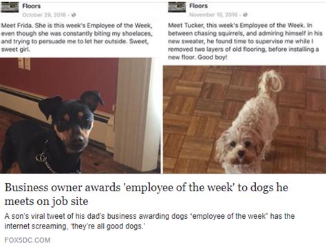 Author Roberta Trahan Murder Mayhem And Mystical Mystery