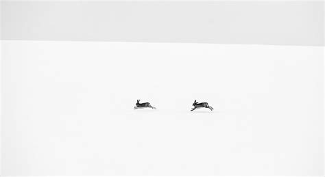 David Tipling Photography Photography Tours Photography Wildlife Photography