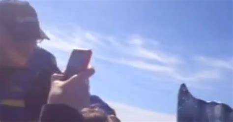 Video Whale Tail Slaps Girl In The Face Mirror Online