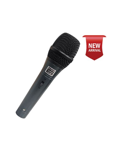 Sv 300 Real Audio System