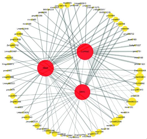 Network Diagram Between Antioxidant Capacity And Metabolites Red