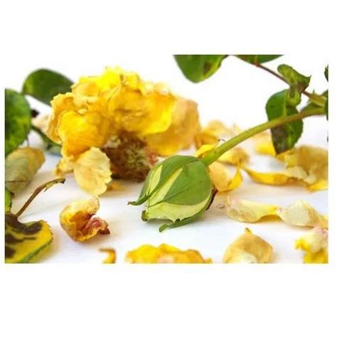 Aldehyde C 11 Fragrance Chemical At ₹ 1350kilogram Daspara Kolkata