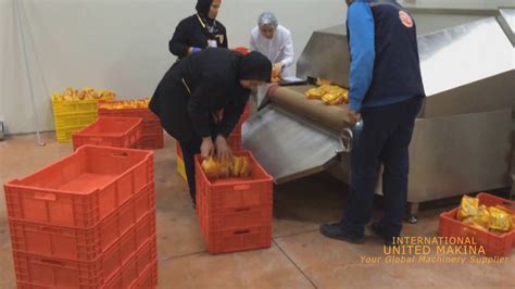 3n1 Line Stop Aflatoxin Sterilization And Fumigation And Pasteurization Youtube