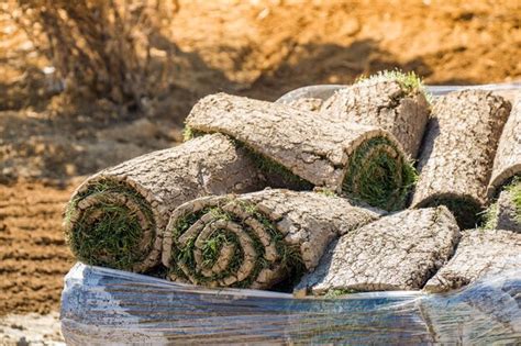 Premium Photo New Lawn Gardening Rolls Of Fresh Grass Turf Ready To