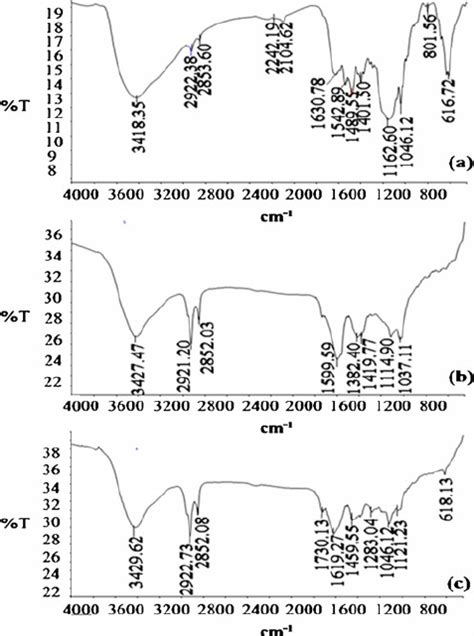 Ftir Spectral Analysis Of A Bbg Dye B Root Exudates Of P Grandiflora