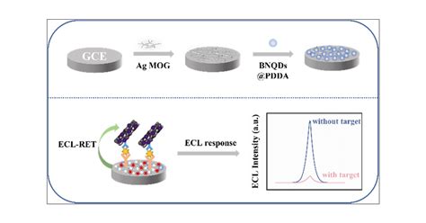 Combination Of Ternary Electrochemiluminescence System Of Bnqdsagmog