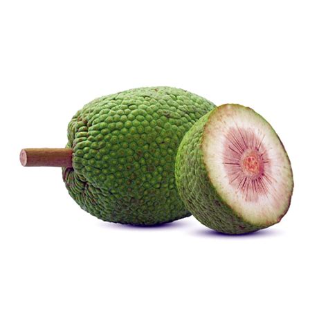 Bread Fruit Aditi Super Market