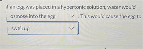 Solved If An Egg Was Placed In A Hypertonic Solution Water