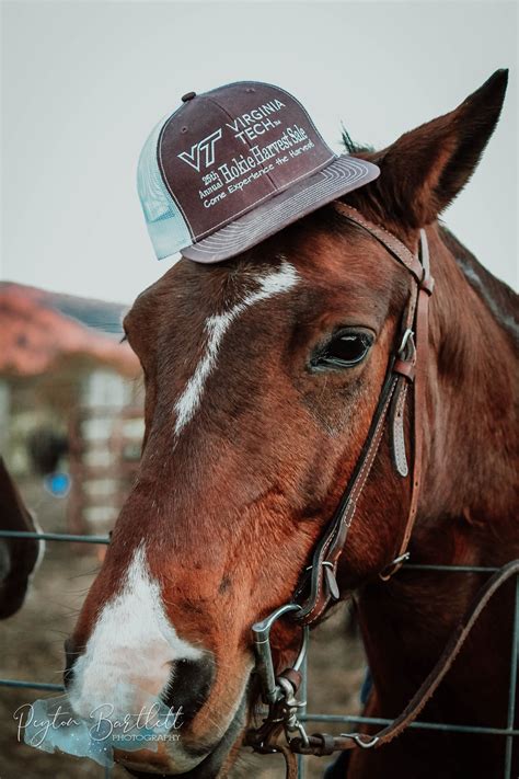 Peyton Bartlett Photography Peyton Bartlett Photography