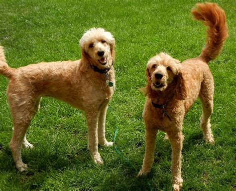 Another Tequila Sunrise Of Moosies And Acrobatic Fails And Whatnot