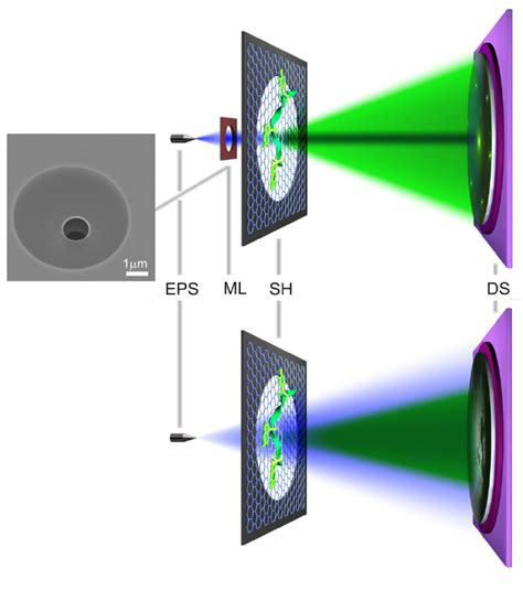 Experimental Setup For Coherent Diffraction And Holographic Imaging Of