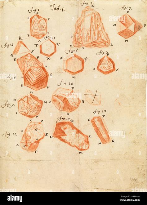 Leeuwenhoek
