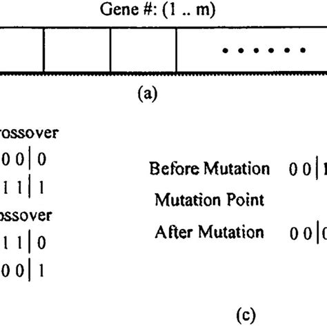 Genetic Algorithm Features A Chromosome Ie Sequence Of Genes